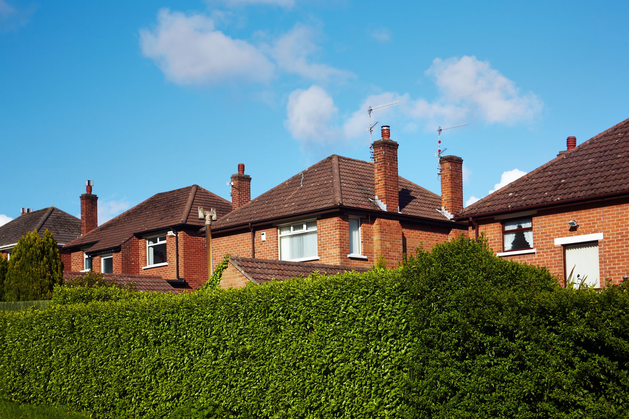 Landscaping 101: Tips to Design The Perfect Landscape - Priority ...
