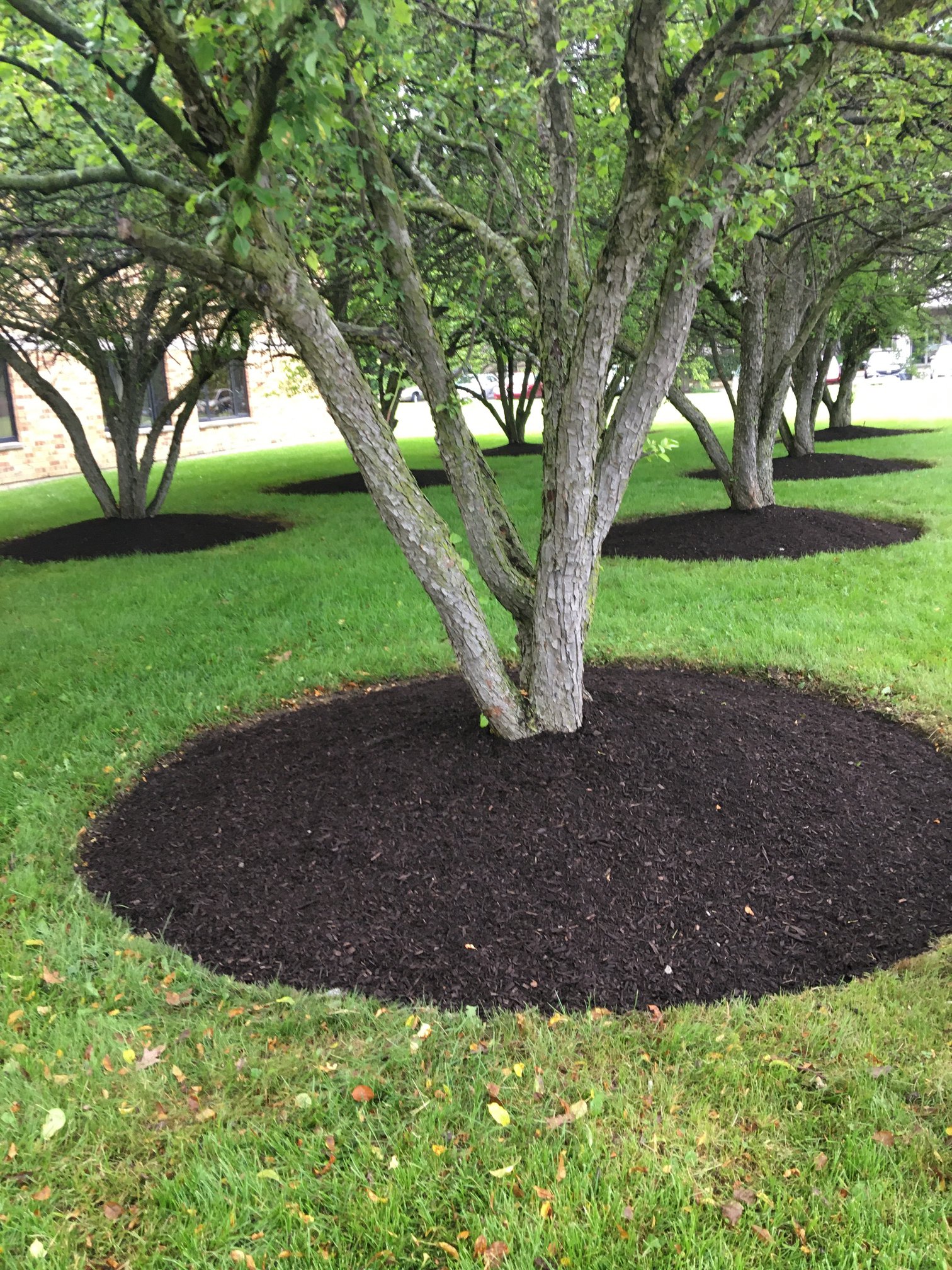 4 Ways To Prioritize Your Vertical Landscapes - Priority Landscape ...