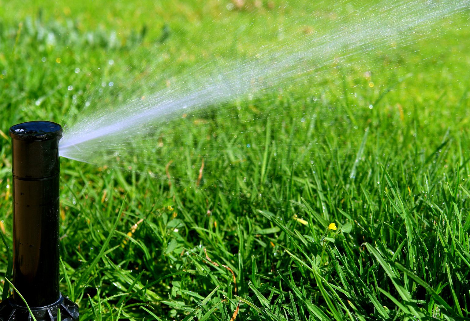 Save Water, Save Money - Priority Landscape & Maintenance