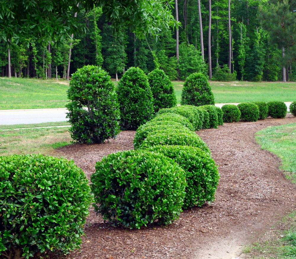 4 Ways To Prioritize Your Vertical Landscapes - Priority Landscape ...