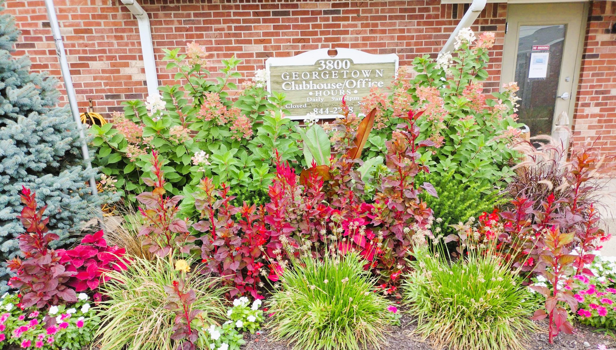 Make Your Entryway Pop With Color - Priority Landscape & Maintenance