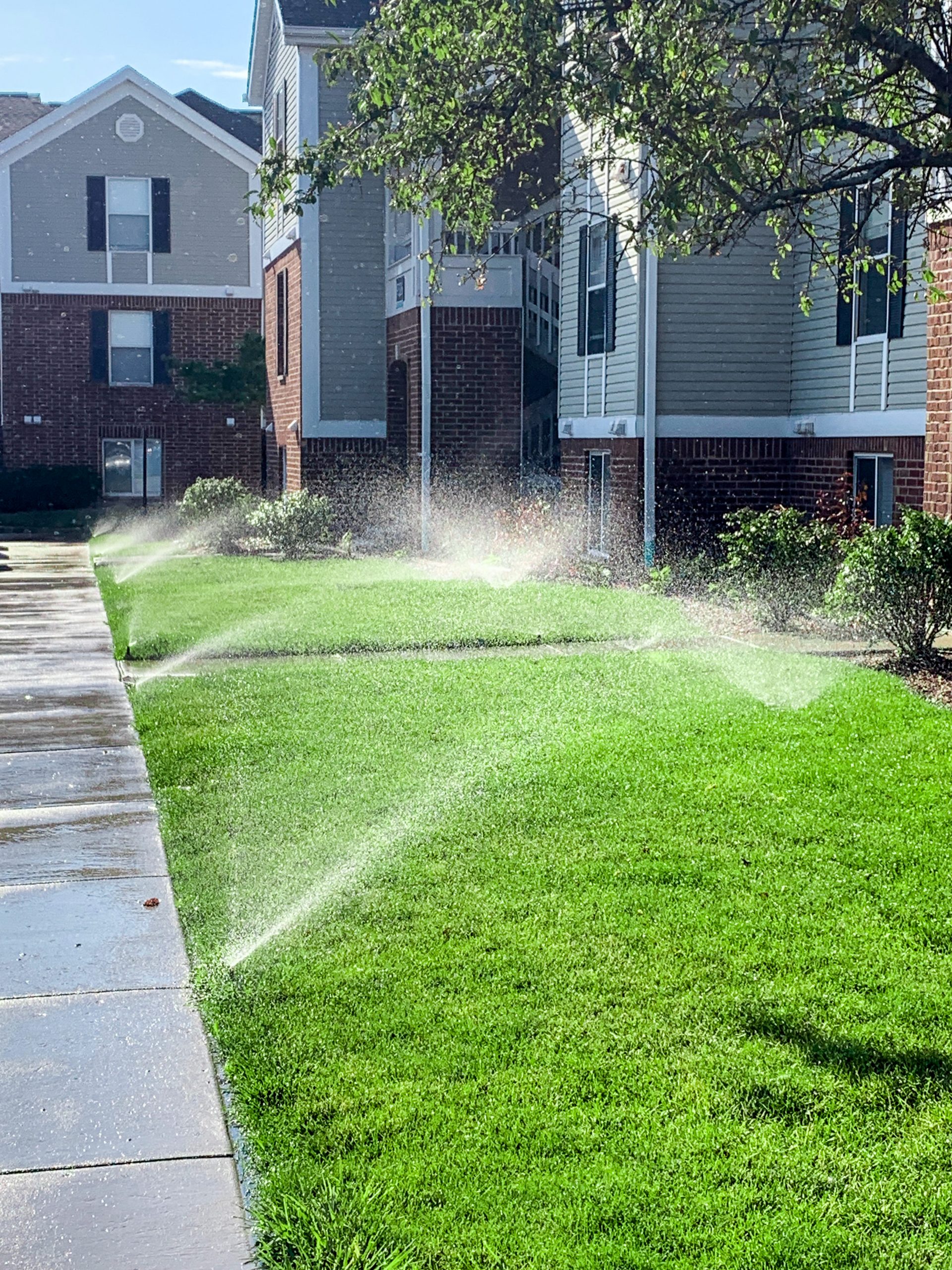 6 Essential Lawn Care Tips for a Healthy and Beautiful Landscape ...