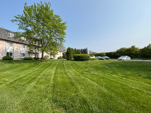 The Green Leverage: How Priority Landscape's Maintenance Boosts Tenant ...