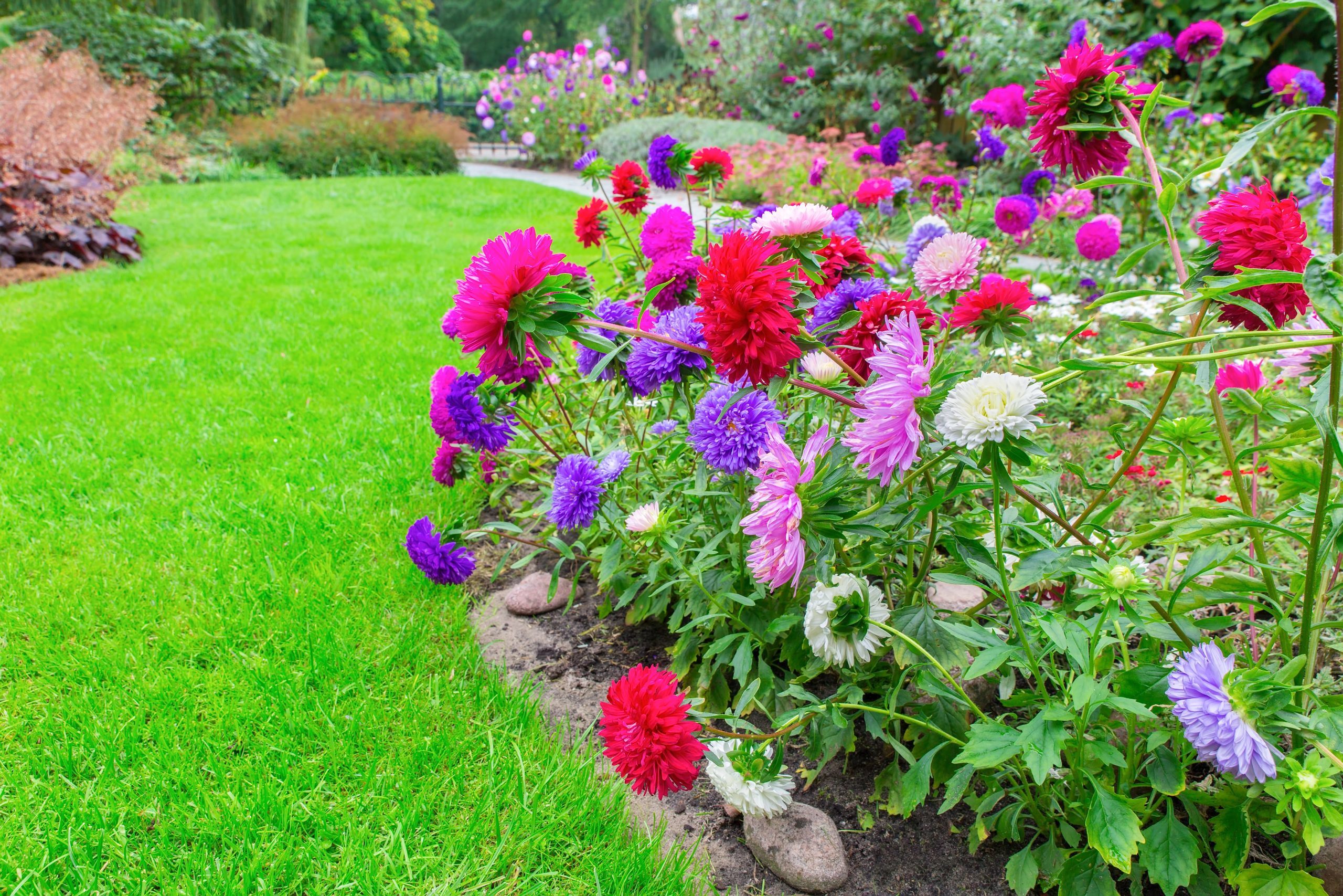 Preparing Perennial Gardens for the Season Ahead - Priority Landscape ...