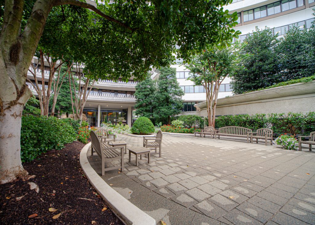 Healing Spaces: Designing Therapeutic Landscapes for Medical Facilities ...